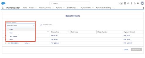 Batch Payments