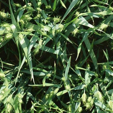 Segmentation Instance Segmentation Model By Coinsvision