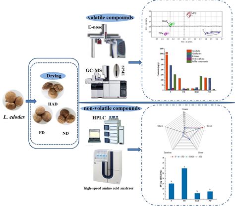 Effects Of Drying Process On The Volatile And Non Volatile Flavor Compounds Of Lentinula Edodes