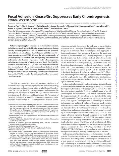 Pdf Focal Adhesion Kinase Src Suppresses Early Chondrogenesis Central Role Of Ccn2