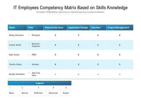 IT Employees Competency Matrix Based On Skills Knowledge Presentation Graphics Presentation