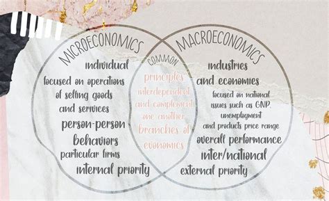 Microeconomics Vs Macroeconomics