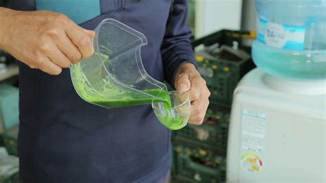 Mbn 특집다큐 정만호새싹보리농장 새싹보리먹는장면 Youtube