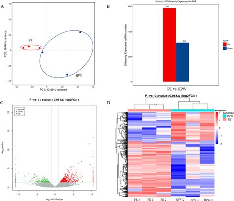 Identification Of Differential Expressed LncRNAs From PE Vs HPW A