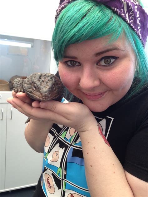 Stumpy Tail Hair Painting Hair Studio Painting Studio