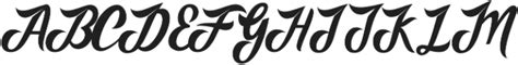 Adventure Script Otf 400 Font Script Decorative What Font Is