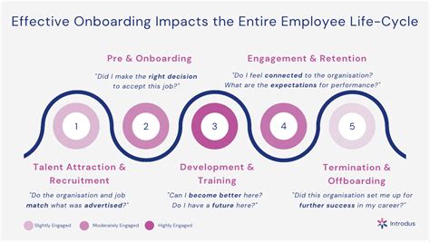 What Is The Employee Lifecycle The 7 Stages Introdus