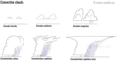 Types Of Convective Clouds From Fair Weather Clouds To Thunderstorms