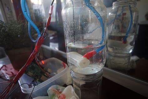 Automated Plant Watering With Raspberry Pi