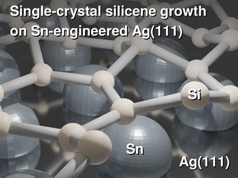Silicene By Interface Engineering Imm Container