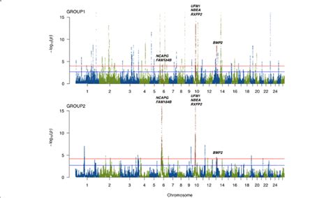 Manhattan Plots Of The Hapflk Statistics For Two Groups Of Russian Download Scientific Diagram