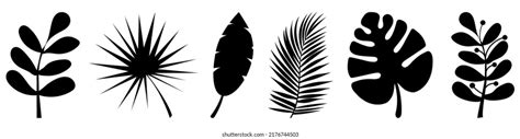 Tropical Leaf Silhouette