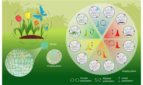 Single Shot Spectral And Polarization Imaging With A Transversely Dispersive Multi Foci Metalens