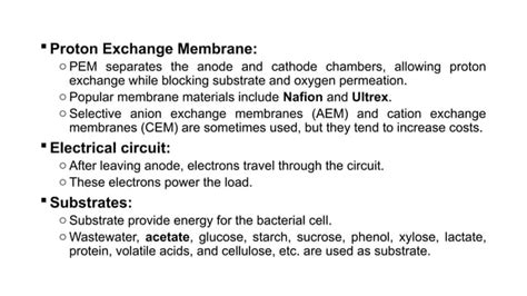 Bioelectricityundergraduate Level Pptx