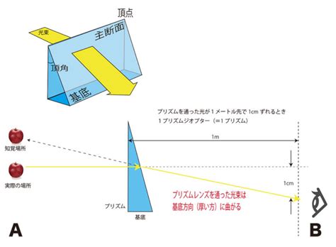 メガネレンズのプリズムとは EYE CARE SYSTEM 綱島のメガネ
