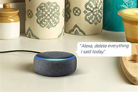 How To Delete Voice Recordings From Google Assistant Alexa And Siri TechWiser