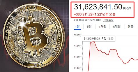 실시간 비트코인 급등하고 있는 이유 드디어 전문가들이 답을 찾았다 지식의정석 New