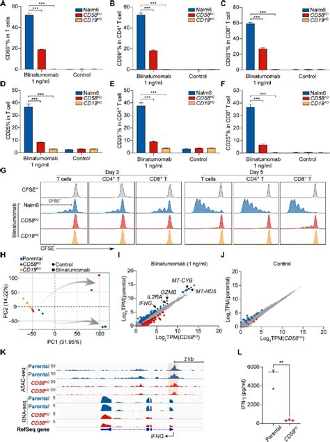 Cd58 Depletion In B All Abolishes T Cell Activation And Proliferation