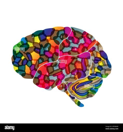Human Brain Vector Abstract Background Stock Vector Image And Art Alamy