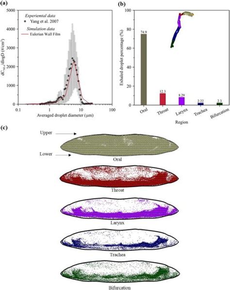 Coupled Eulerian Wall Film Discrete Phase Model For Predicting