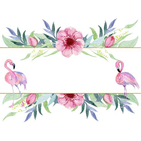 1 900 Flamingo Borders Stock Illustrations Royalty Free Vector