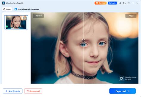 Wondershare Ai Photo Enhancer Enhance Photos To Reveal Natural Beauty