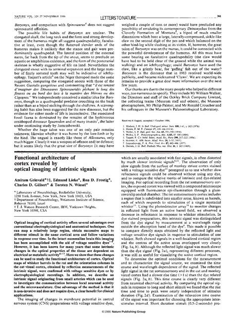 Pdf Functional Architecture Of Cortex Revealed By Optical Imaging Of Intrinsic Signals