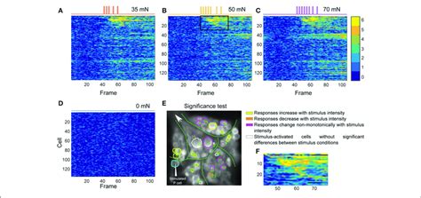 Influence Of P Cell Spiking Patterns On Postsynaptic Neurons A D Download Scientific