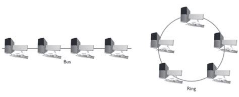 Cabling And Topology Flashcards Quizlet