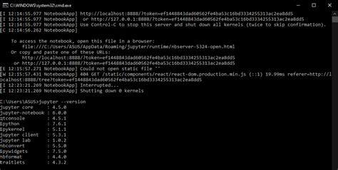 cant open my jupyter file 404 get static components react react dom production min js 1 2