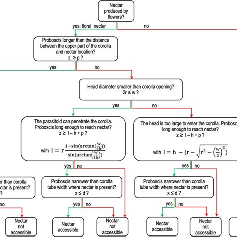 Partial Regression Plots Showing The Relationship Between The Download Scientific Diagram