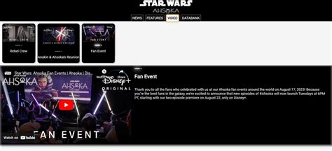 How To Integrate Youtube Videos Into React Applications