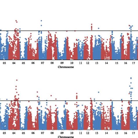 Manhattan Plot Of Fst Manhattan Plot Of Genome Wide Fst Between Large