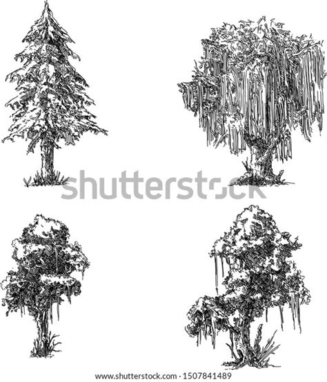 Linear Vector Illustration Trees Set Stock Vector Royalty Free Shutterstock