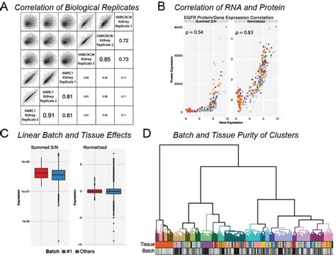 Diagnostics Used To Assess Normalization Schemes In This Study A
