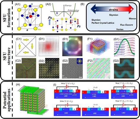 Polar Topological Structure As Sfu In Ferroelectric Thin Films A1