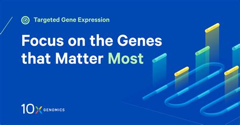 Targeted Gene Expression 10x Genomics
