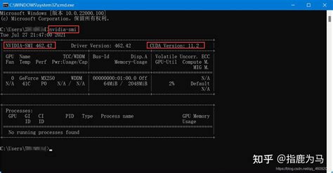 PyTorch 最新安装教程 知乎