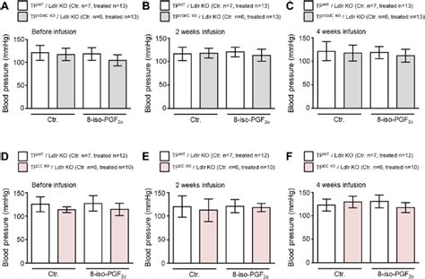 Neither Tp Knockout Nor 8 Iso Pgf 2α Infusion Have A Significant Effect