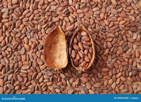 Pods Of Cocoa Tree On Aromatic Beans Stock Photo Image Of Cacao Ripe