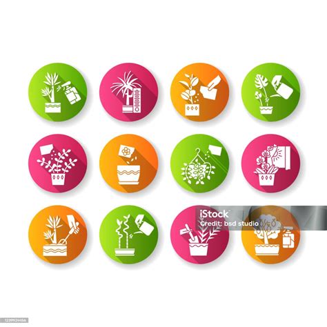 하우스 플랜트 케어 플랫 디자인 긴 그림자 문고 아이콘 세트 식물 이식 종자 심기 급수 비옥 보풀 온도 조건 살포 실루엣 Rgb 컬러 일러스트 0명에 대한 스톡 벡터 아트