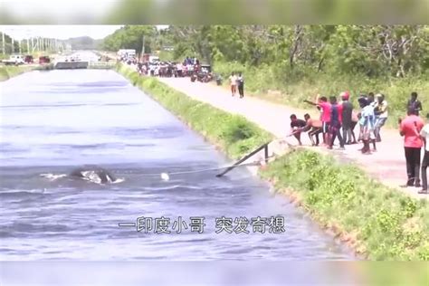 大象不慎脚滑落入河水中，印度男子突发奇想，激情上演鱼雷救象！鱼雷河水激情