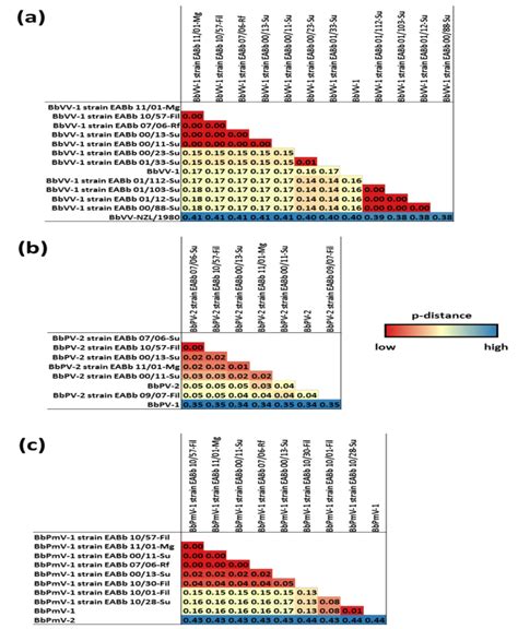 figure s3 2 2 pairwise distance matrix created based on the rdrp