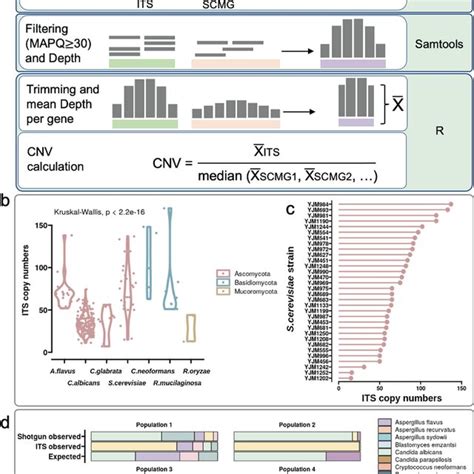 Shotgun Sequencing Provides Higher Accuracy Than Its Sequencing In