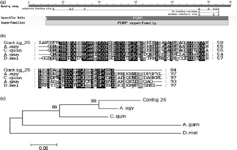 Analysis Of Mosquito Pgrps A Web Based Prediction Of Putative Pgrp