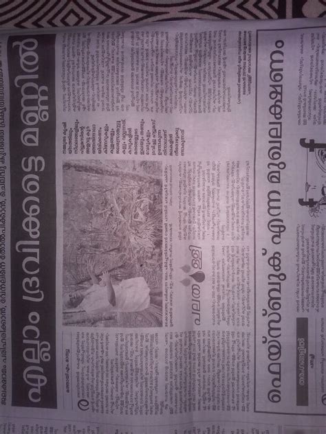 My Experiments With Farming Meeting Mathai M Mathew Zero Budget Farmer Subash Palekar Model