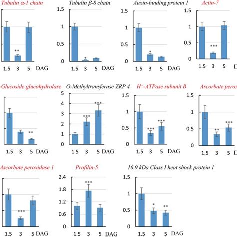 Verification Of Transcript Abundance Of The Genes Encoding The Selected Download Scientific