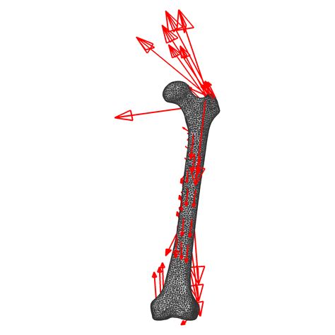 Github Modenaxemuscleforcedirection Package To Interface Opensim