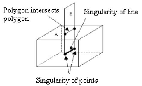 Polygon Intersection Causes The Singularity Of Points And Line