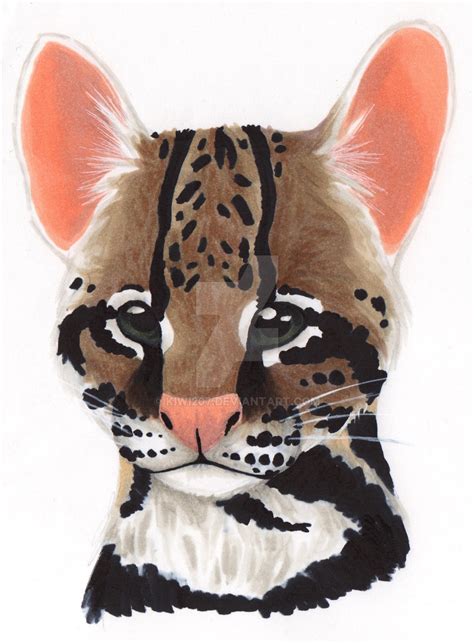 Ocelot By Kiwi On DeviantArt